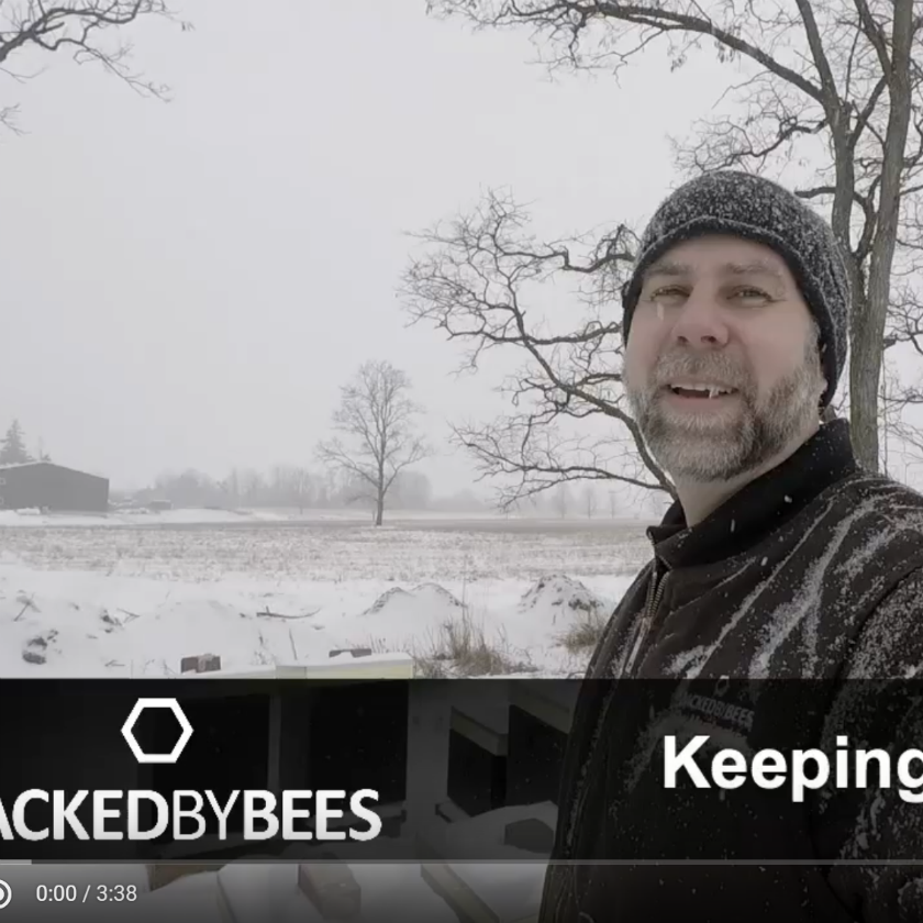 January Update - Keeping beesy - Backed By Bees