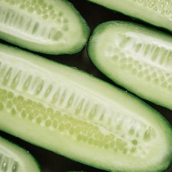 Getting creative with Cucumbers! - Backed By Bees