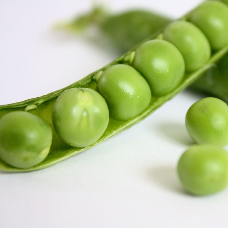 Peas in a Pod! - Backed By Bees