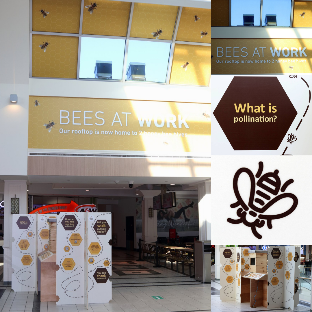 Commercial Hive Rental - Backed By Bees