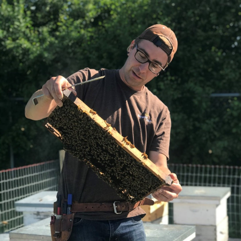 About Us - Our Story | Backed By Bees